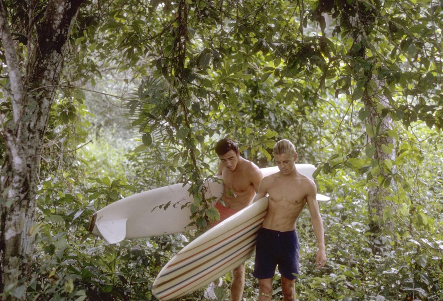 The endless Summer - 1966 | Düsseldorfer Filmkunstkinos