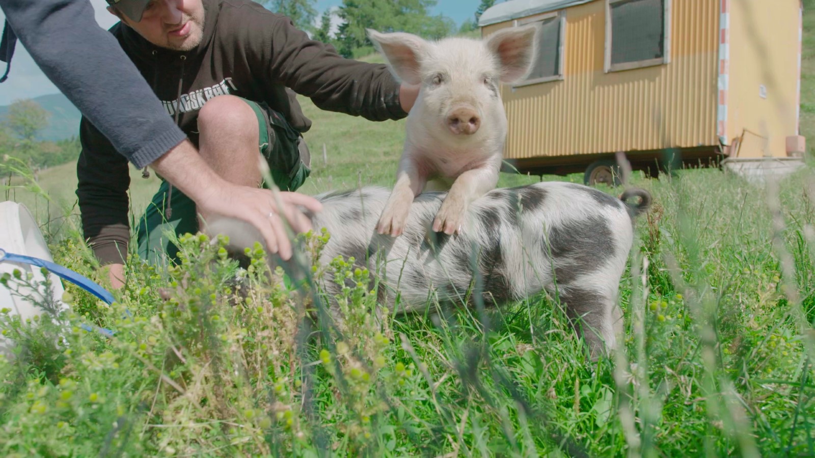 Der Bauer und der Bobo - 2022 | Düsseldorfer Filmkunstkinos