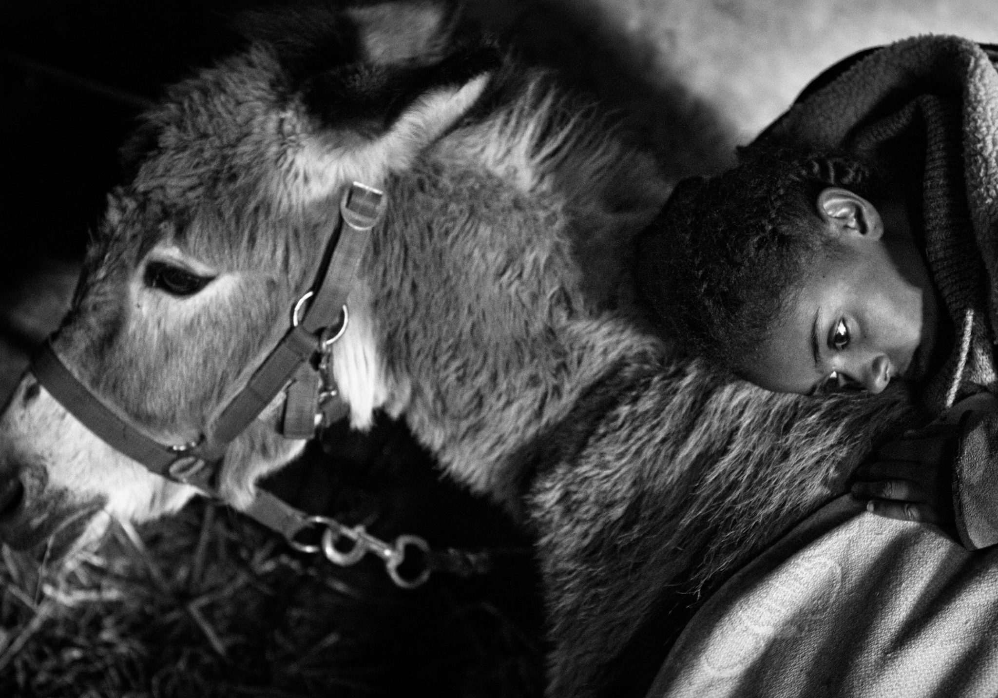 Fortuna - 2018 | Düsseldorfer Filmkunstkinos